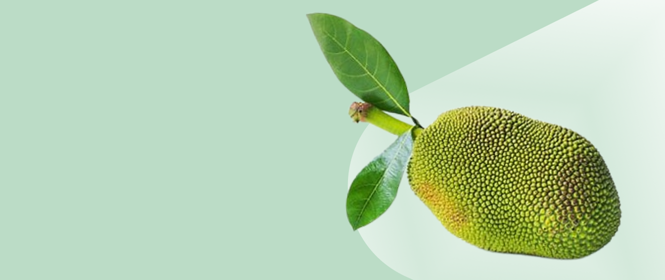 Nepali Products in Denmark | Nepali Shop Online & In-Store – Smart Wear ...